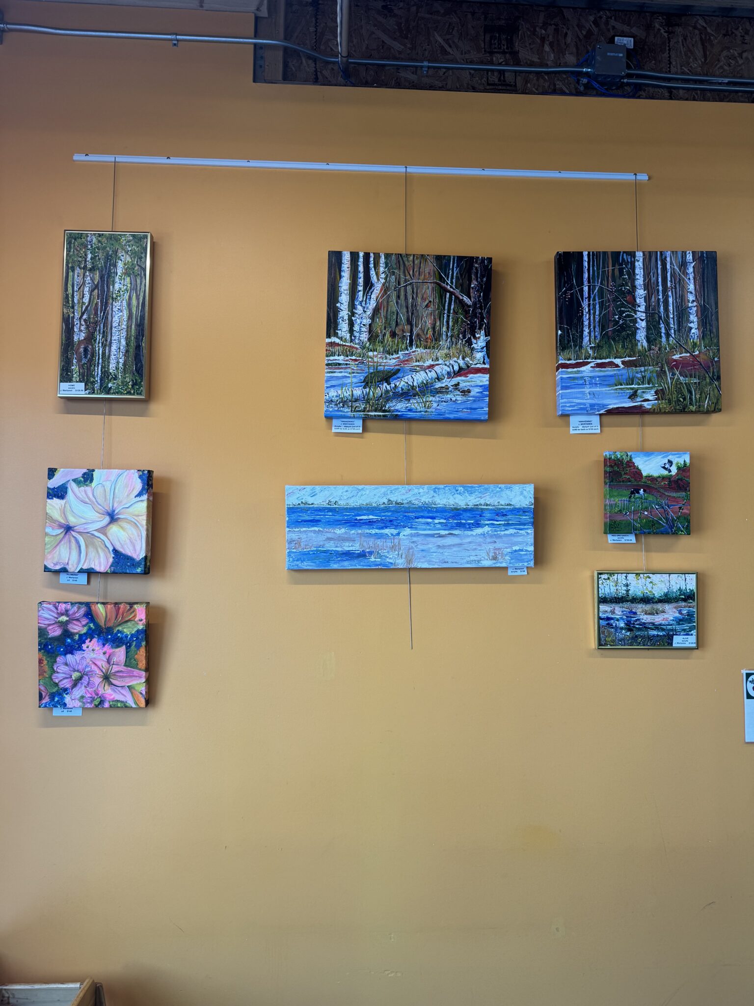May’s Featured Artist: Jane Wertanen - Natural Harvest